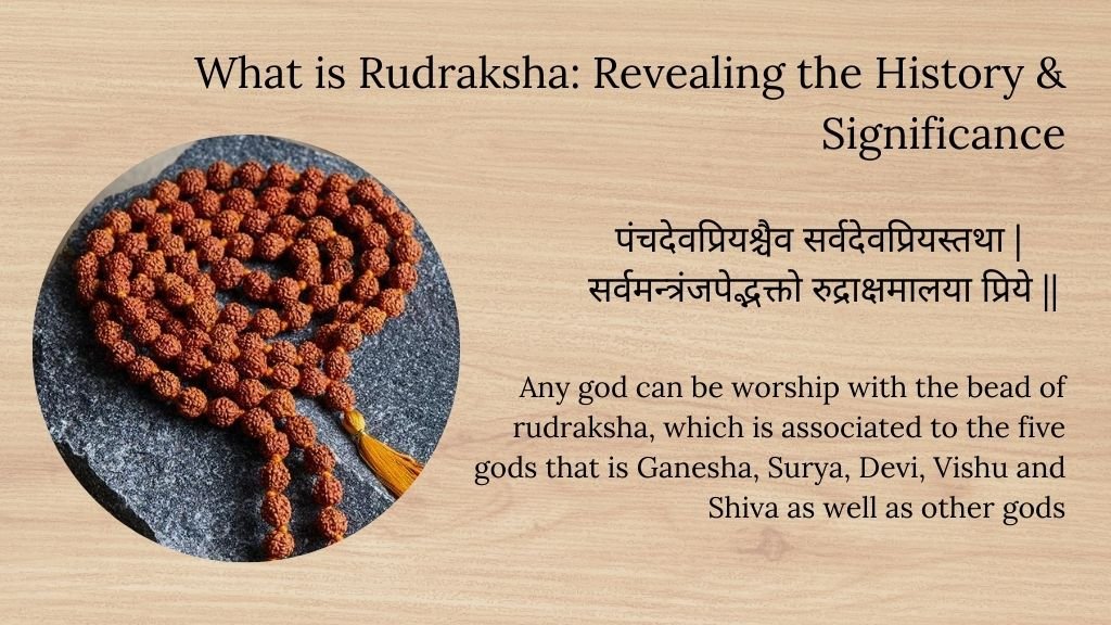 What is Rudraksha: Revealing the History & Significance