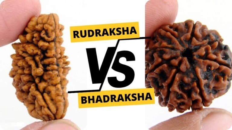 Types of Rudraksha: 26 Types of Rudraksha and Their Benefits