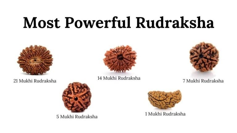 Strongest & Most Powerful Rudraksha and Their Powers
