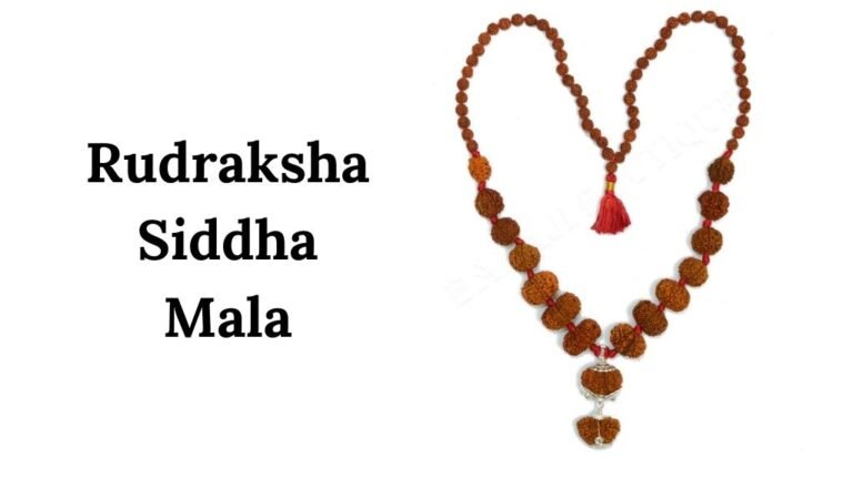 The Most Powerful Rudraksha Combination & Their Strength