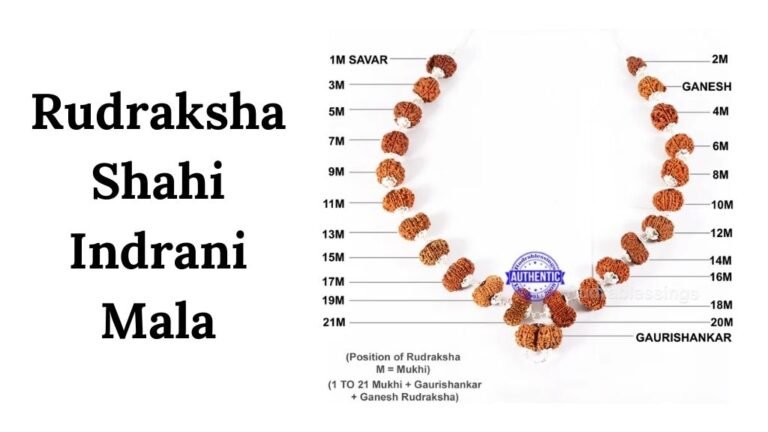 The Most Powerful Rudraksha Combination & Their Strength