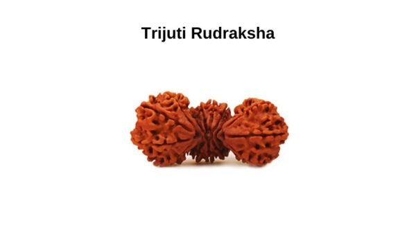 Top 5 Most Expensive Rudraksha