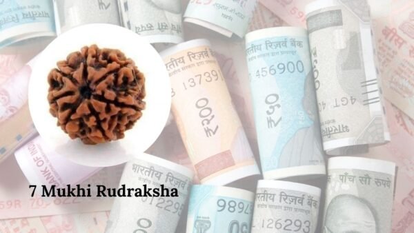 Strongest & Most Powerful Rudraksha and Their Powers