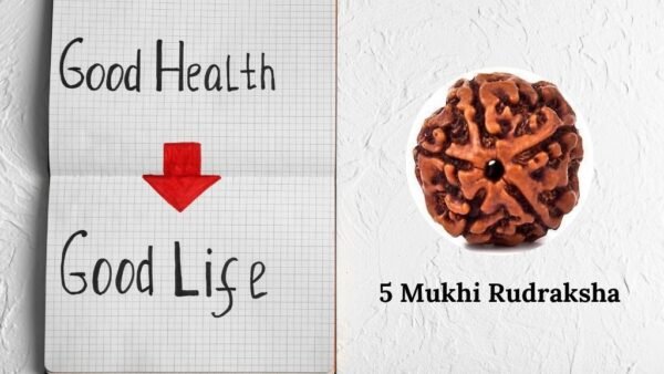 Strongest & Most Powerful Rudraksha and Their Powers