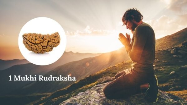Strongest & Most Powerful Rudraksha and Their Powers